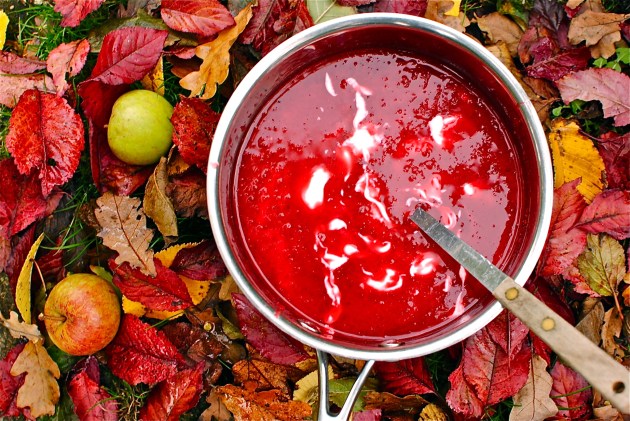 So-Easy Beetroot Soup with Wasabi and Lime + Spicy, Fruity Pickled ...